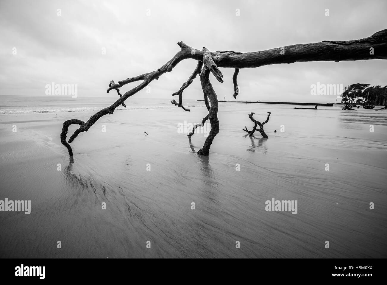 South carolina sc Black and White Stock Photos & Images - Alamy