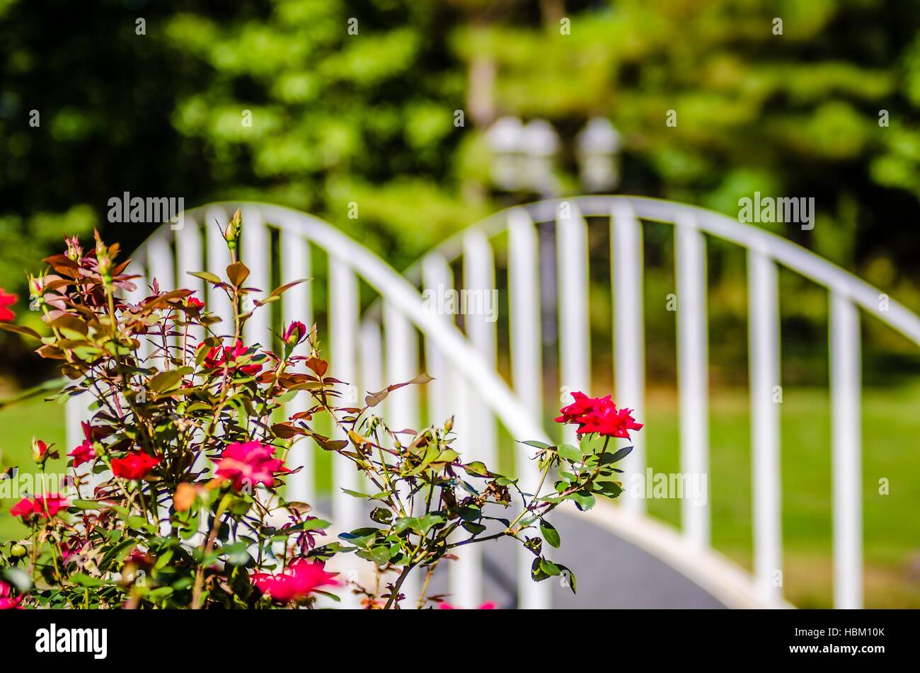 white steel bridge over gasden pond Stock Photo - Alamy