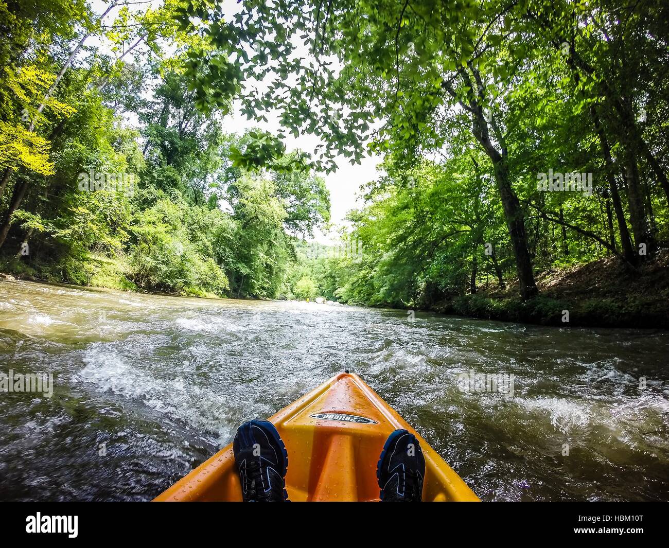 kayaking on broad river in the mountains Stock Photo - Alamy