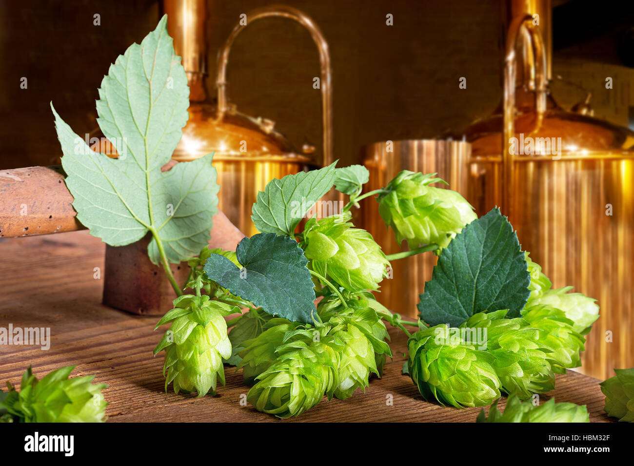 Detail of hop cones in the brewery Stock Photo - Alamy