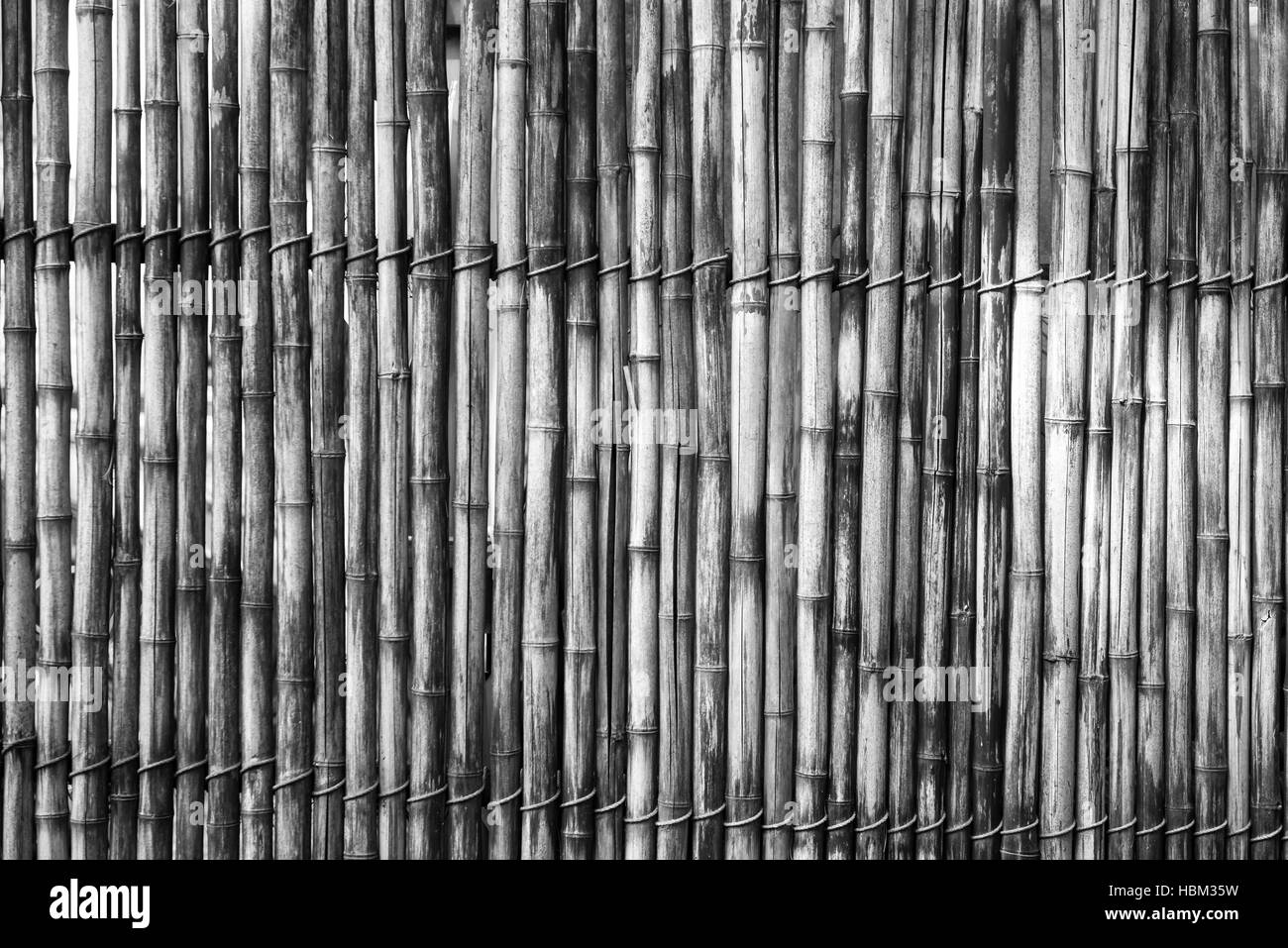 Bamboo screen background hi-res stock photography and images - Alamy