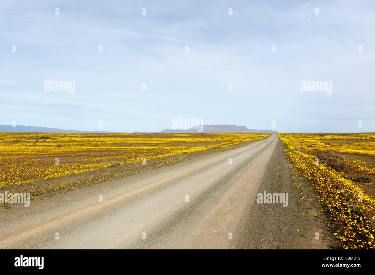 Karoo road sunset hi-res stock photography and images - Alamy