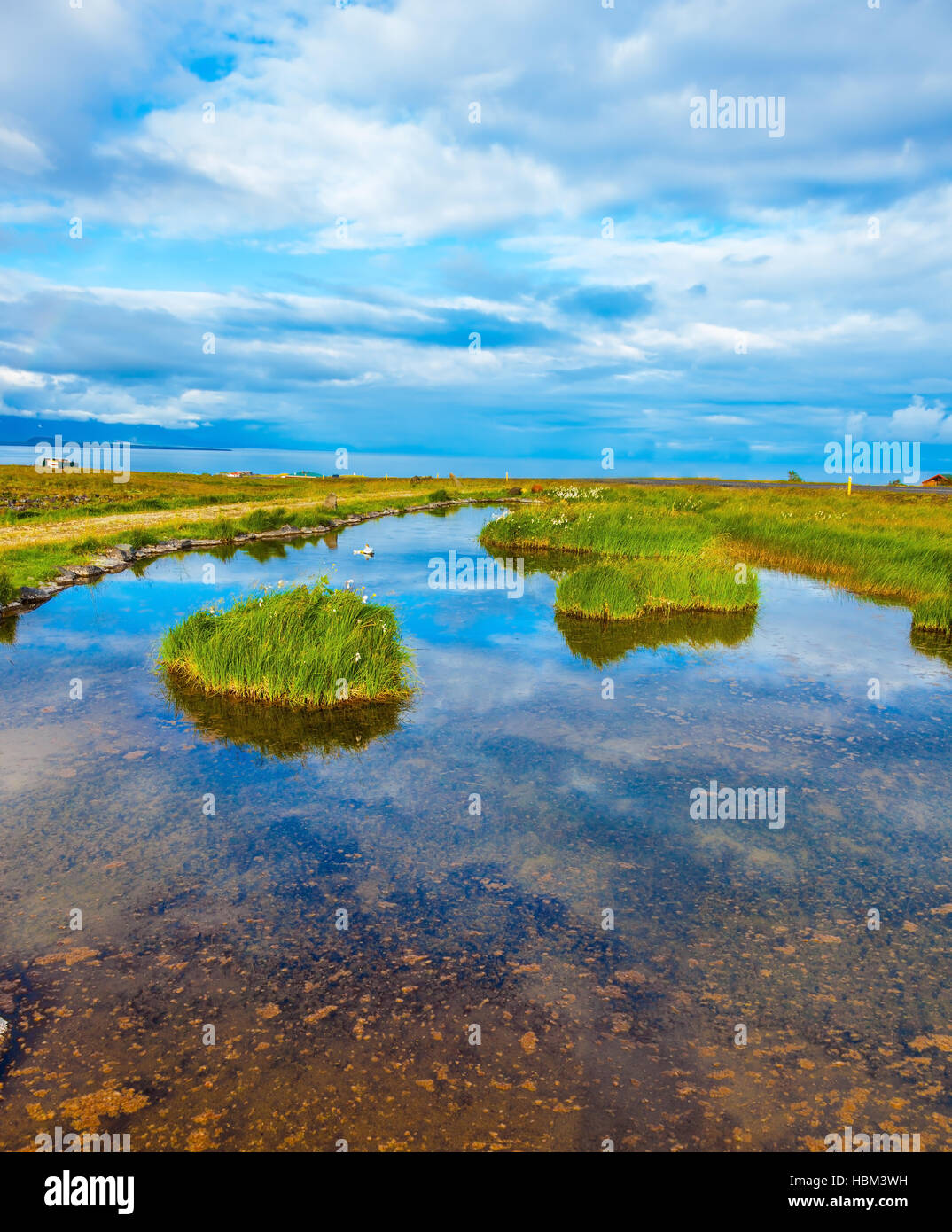 Lovely grass hi-res stock photography and images - Alamy