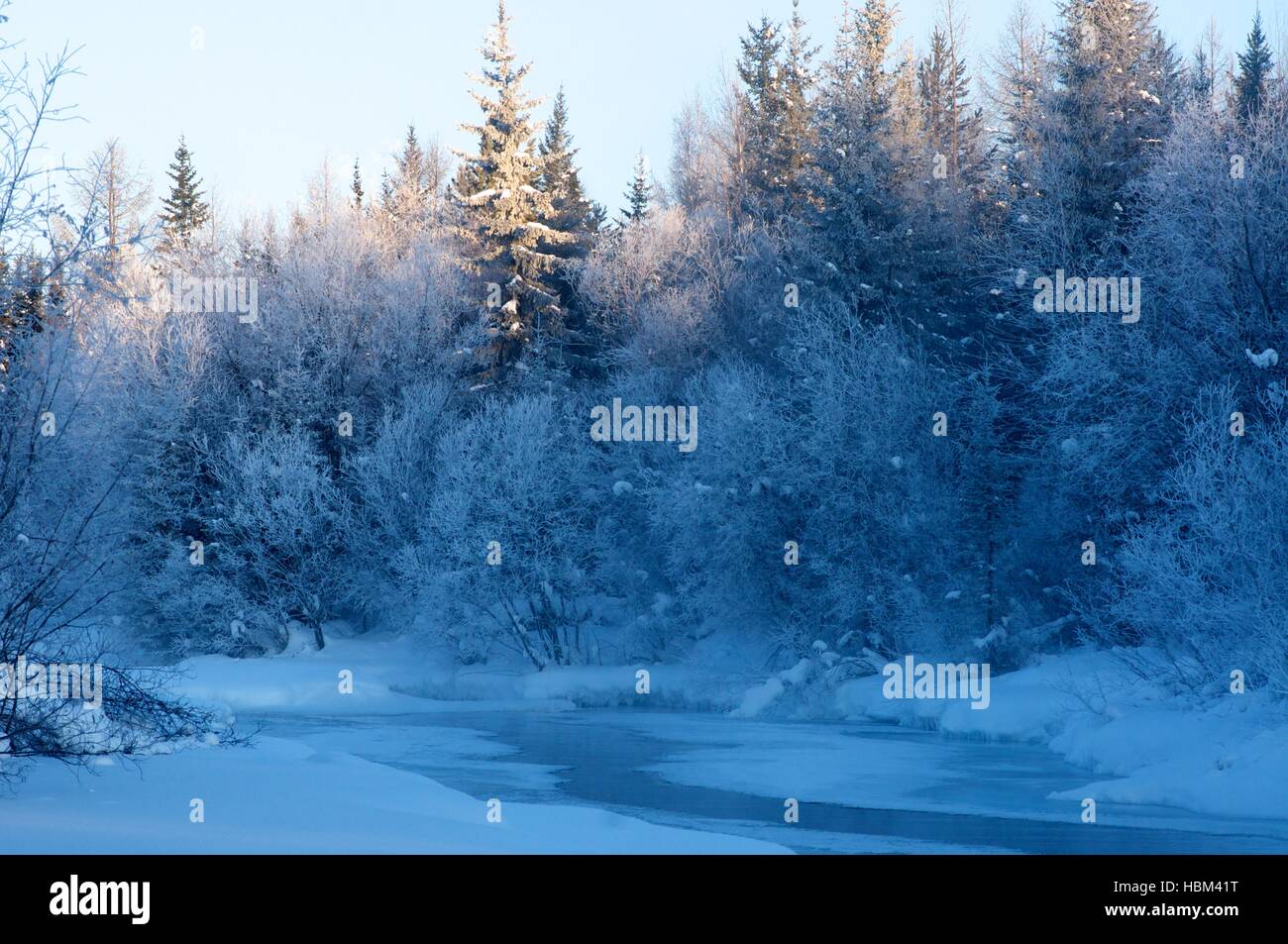 Lena river siberia hi-res stock photography and images - Alamy