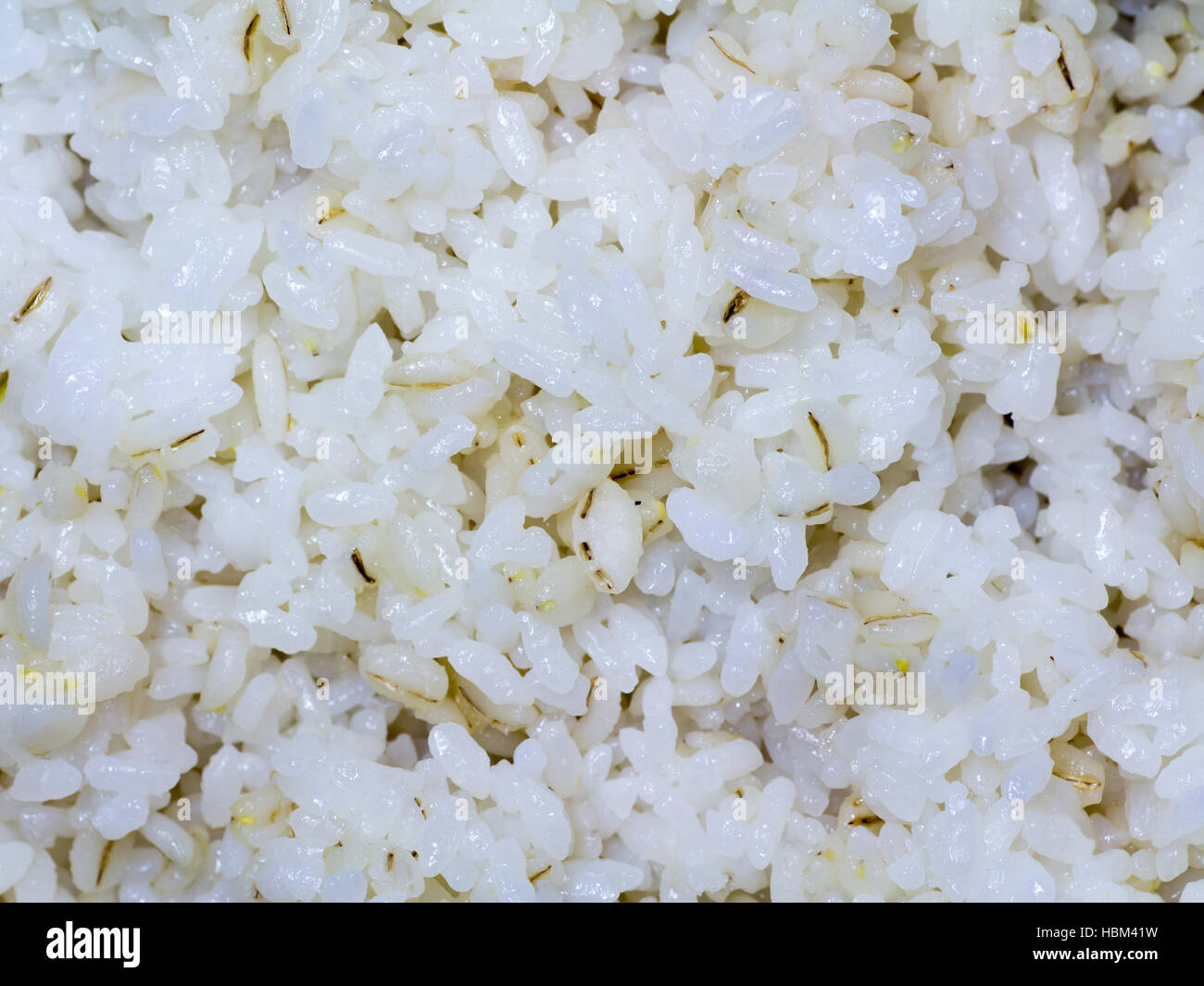 Japanese cuisine, seamless picture of cooked barley and rice Stock ...