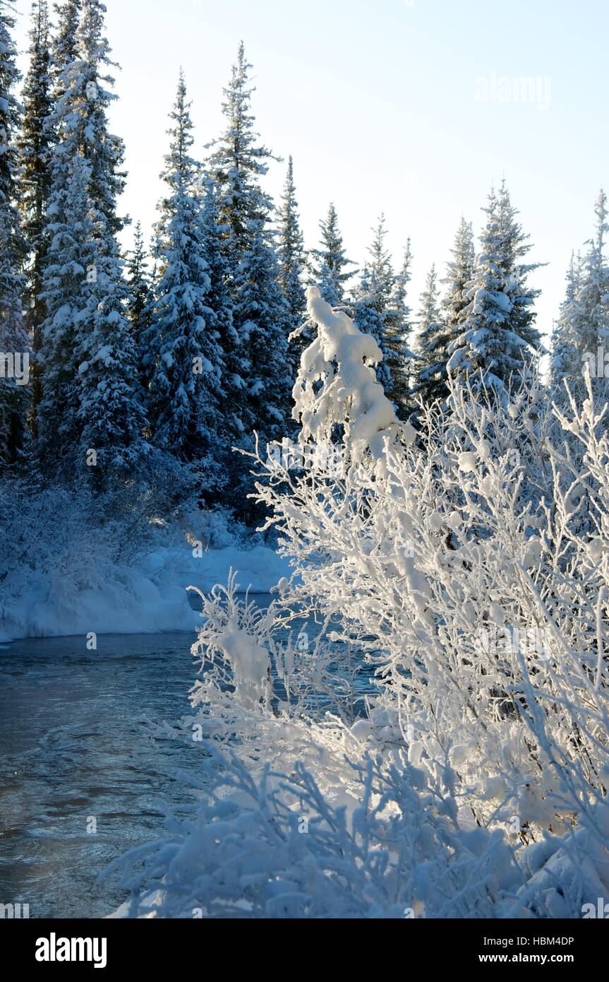Lena river taiga hi-res stock photography and images - Alamy
