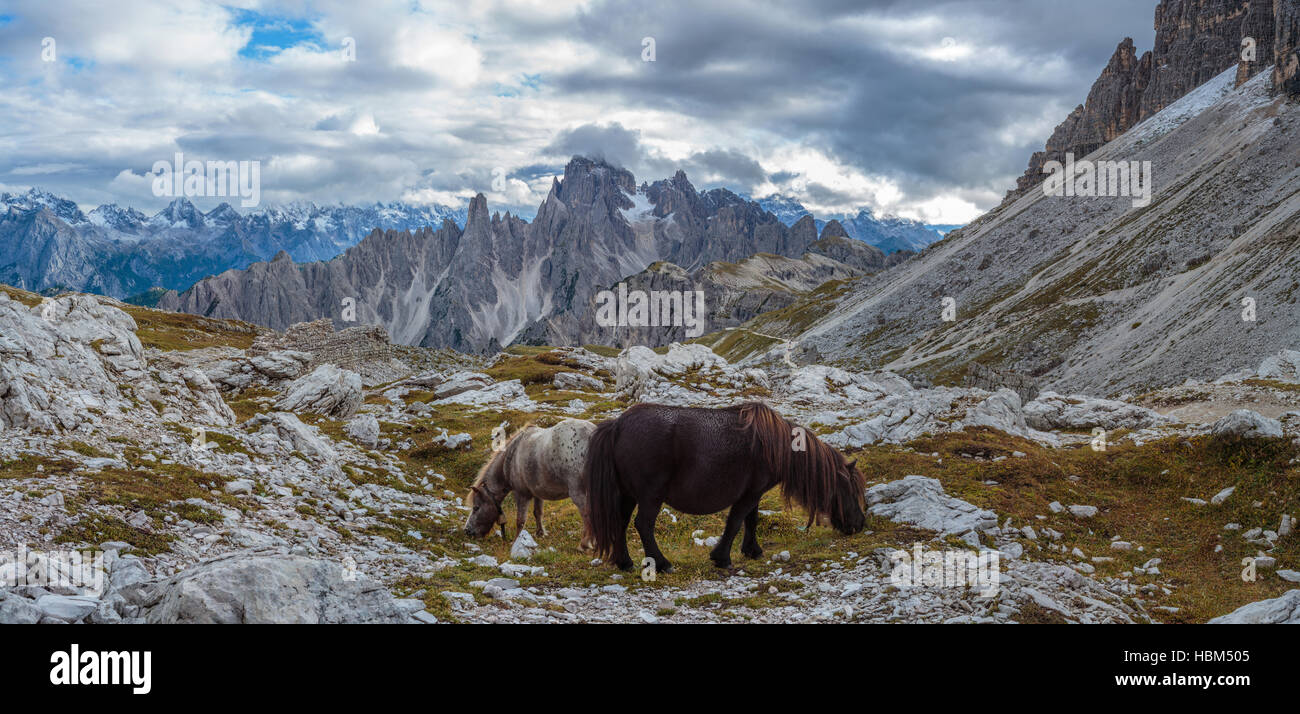 adventure, alpine, alps, amazing, auronzo, background, beautiful, cime ...