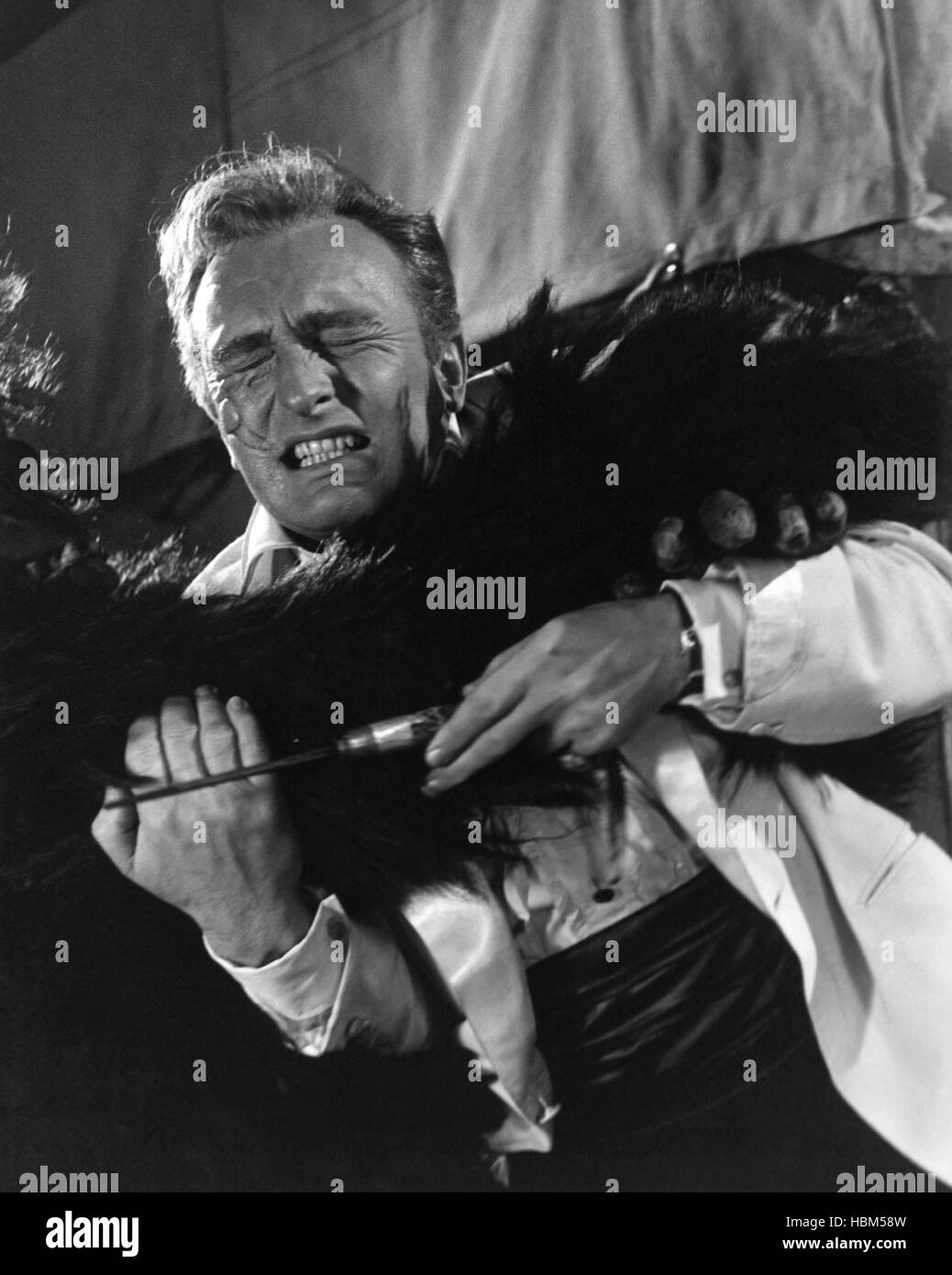 CIRCUS OF HORRORS, Anton Diffring, 1960 Stock Photo - Alamy