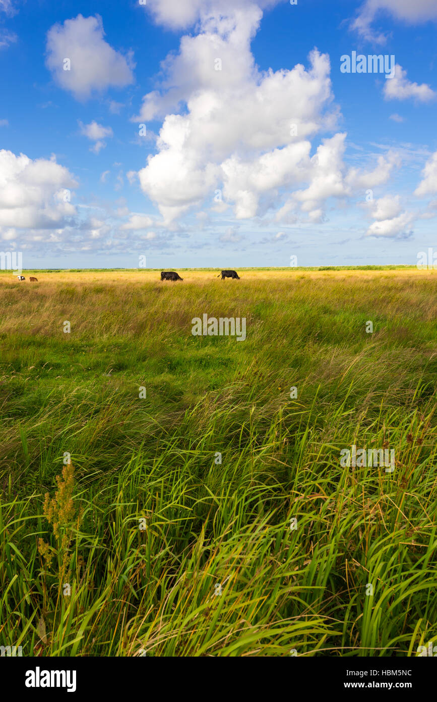 Slowinski nationalpark hi-res stock photography and images - Alamy