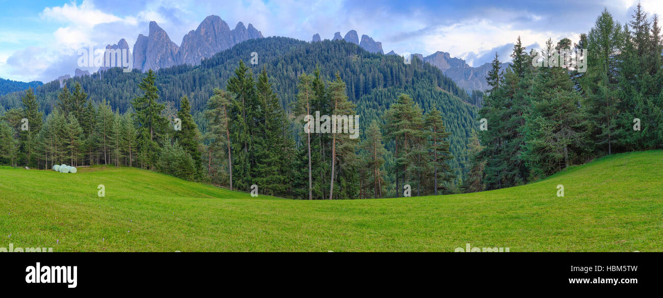 Nature of the Italian Alps, Dolomites, Italy Stock Photo - Alamy