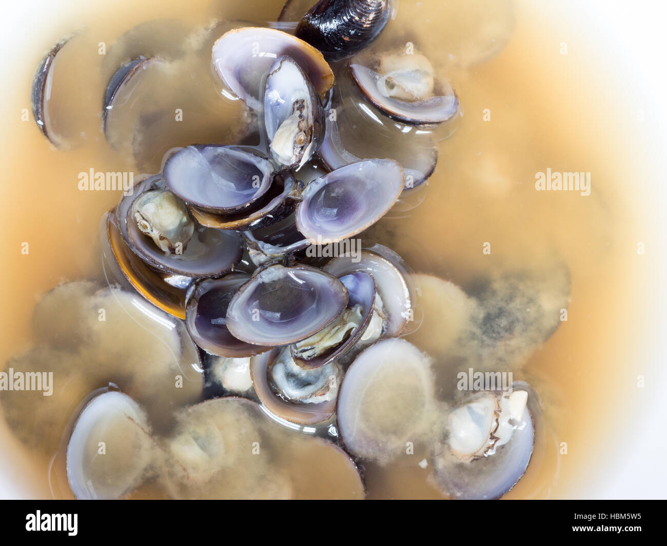 Clam miso soup hi-res stock photography and images - Alamy