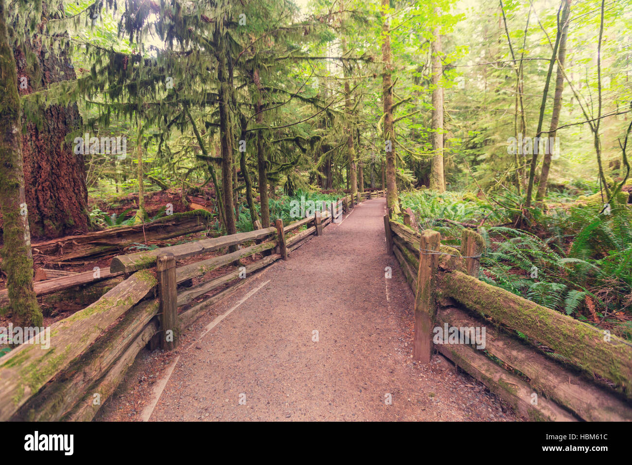 Vancouver island t hi-res stock photography and images - Alamy