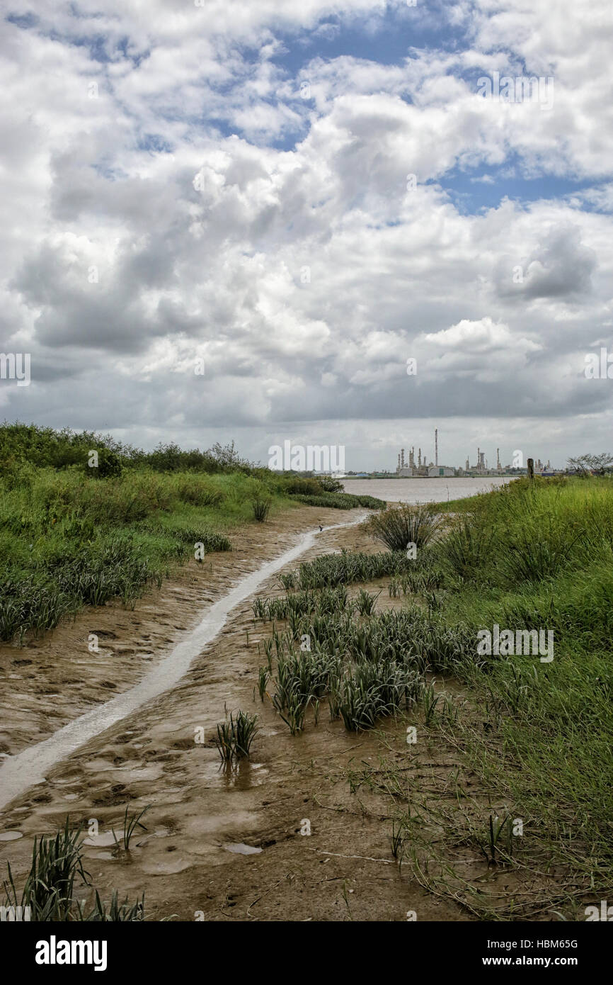 View on the Suriname river in Suriname Stock Photo - Alamy