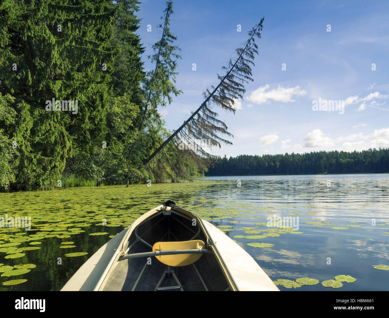 Exploring expedition hi-res stock photography and images - Alamy