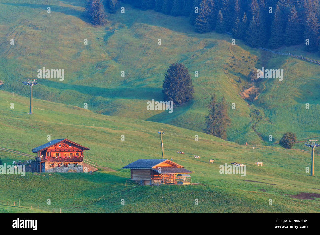 agriculture, alpine, alps, animal, meadow, mountain,cow, dolomite ...