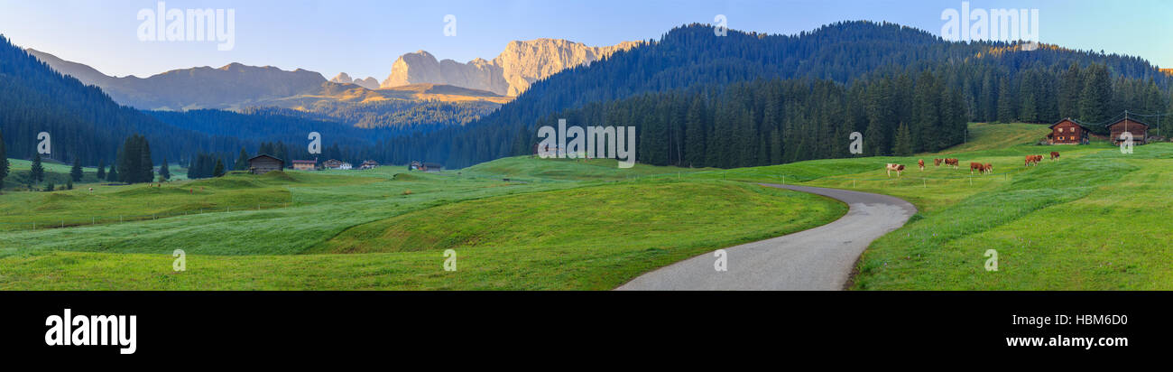 agriculture, alpine, alps, animal, background, brown, cattle, country ...