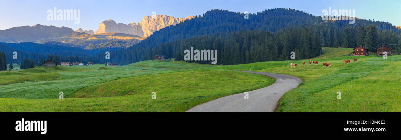 agriculture, alpine, alps, animal, background, brown, cattle, country ...