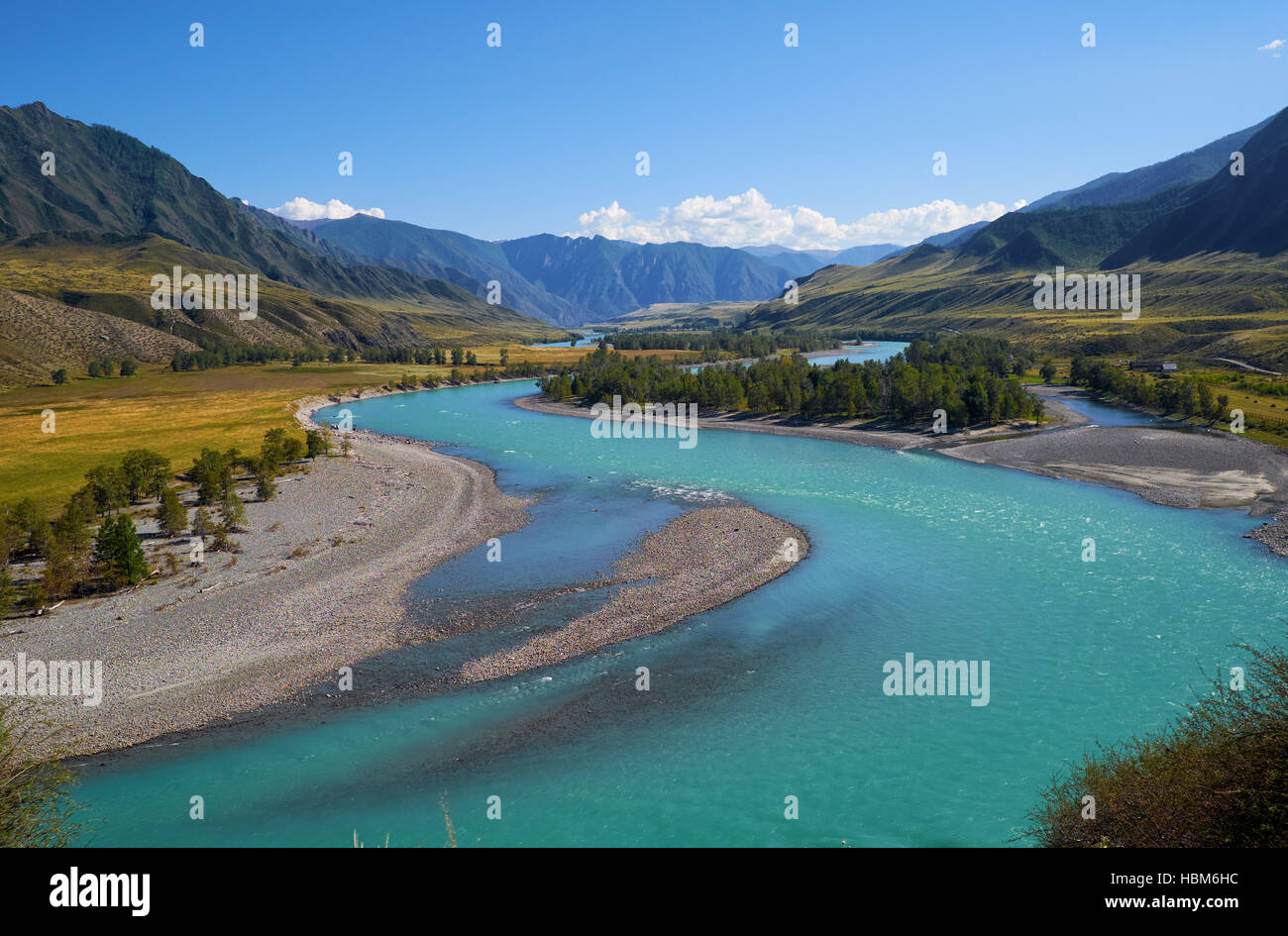 Siberian river Katun in Altai mountains Stock Photo - Alamy