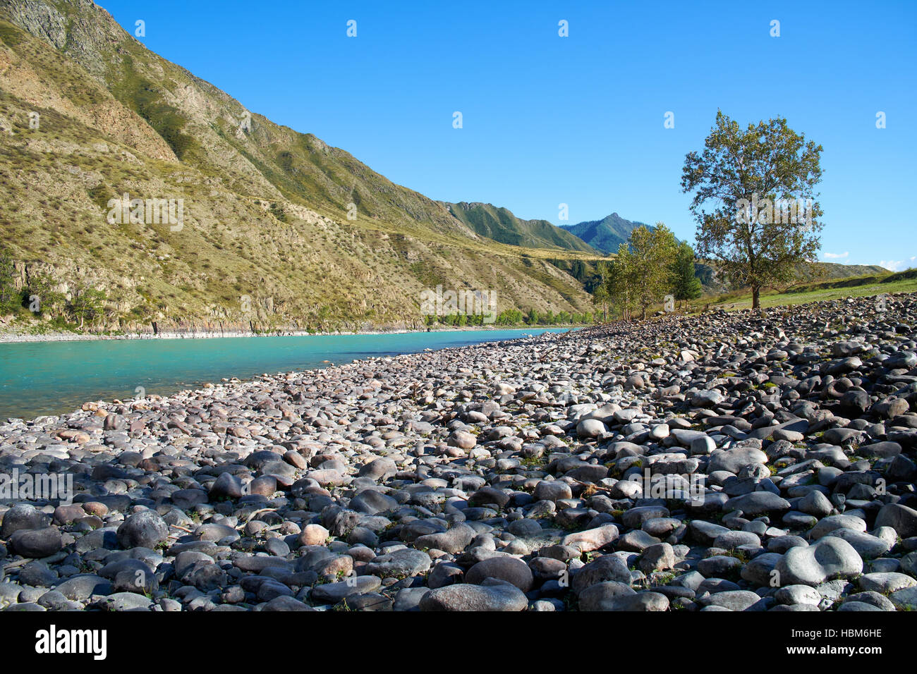 Siberian river Katun in Altai mountains Stock Photo - Alamy