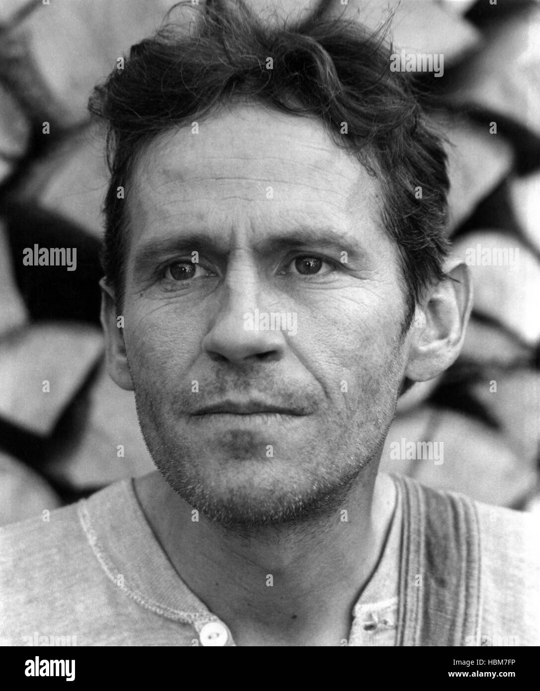 COAL MINER'S DAUGHTER, Levon Helm, 1980, (c) Universal/courtesy Everett ...