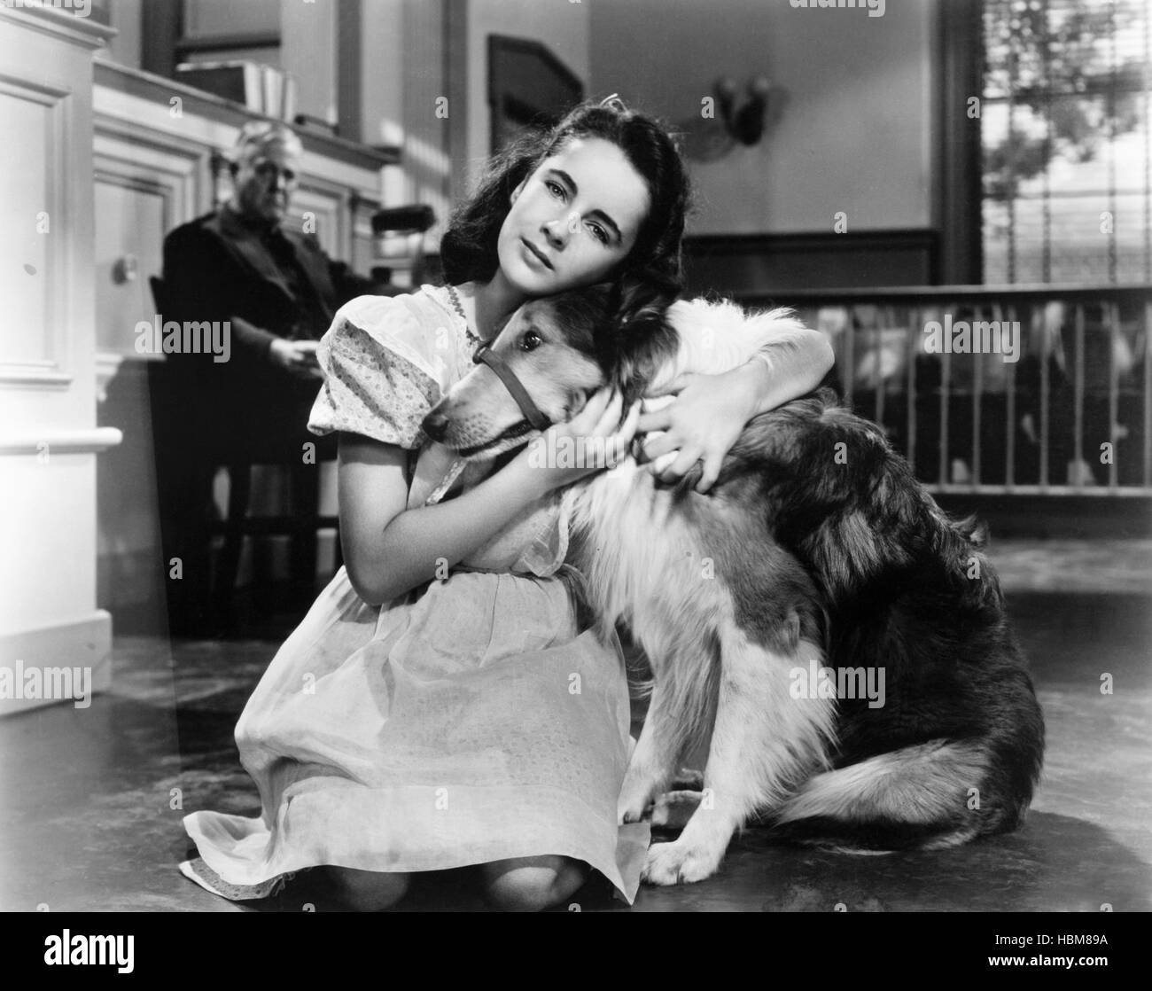 COURAGE OF LASSIE, Elizabeth Taylor, 1946 Stock Photo - Alamy