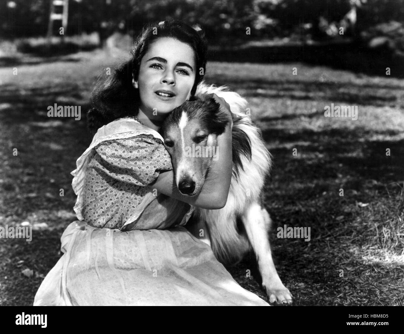 COURAGE OF LASSIE, Elizabeth Taylor, Lassie, 1946 Stock Photo - Alamy