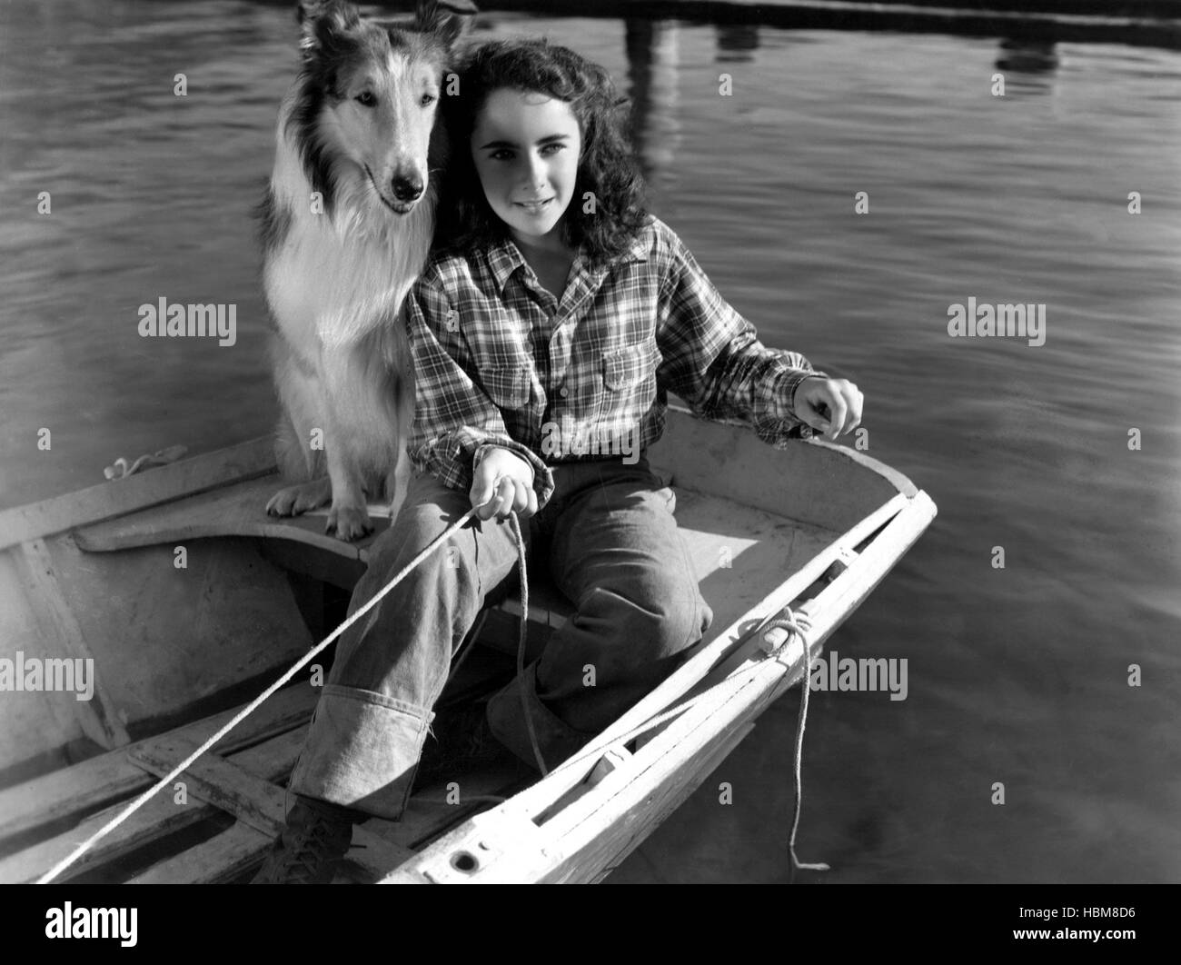 COURAGE OF LASSIE, Lassie, Elizabeth Taylor, 1946 Stock Photo - Alamy