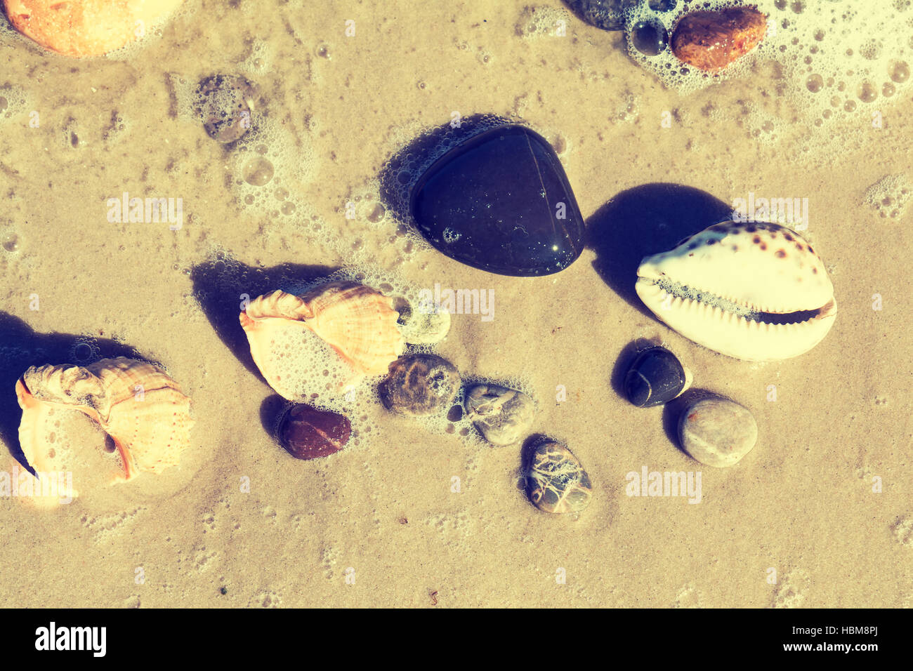 The shells and stones on the seashore Stock Photo - Alamy