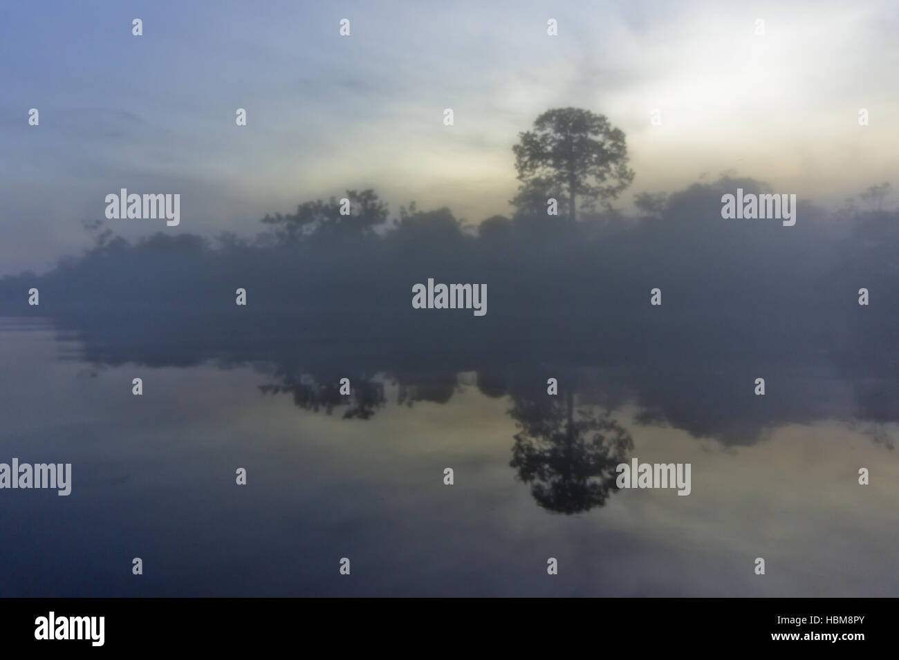 Sunrise, Amazon Basin, Brazil Stock Photo - Alamy