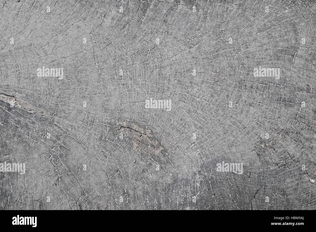 dirty Tree structure Stock Photo - Alamy