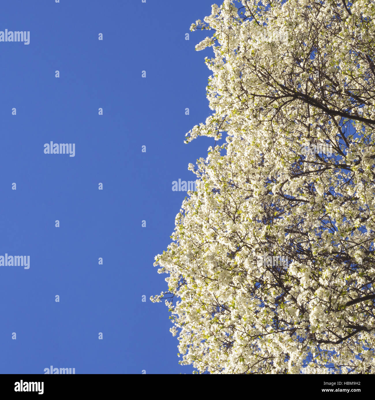 Springtime sky hi-res stock photography and images - Alamy