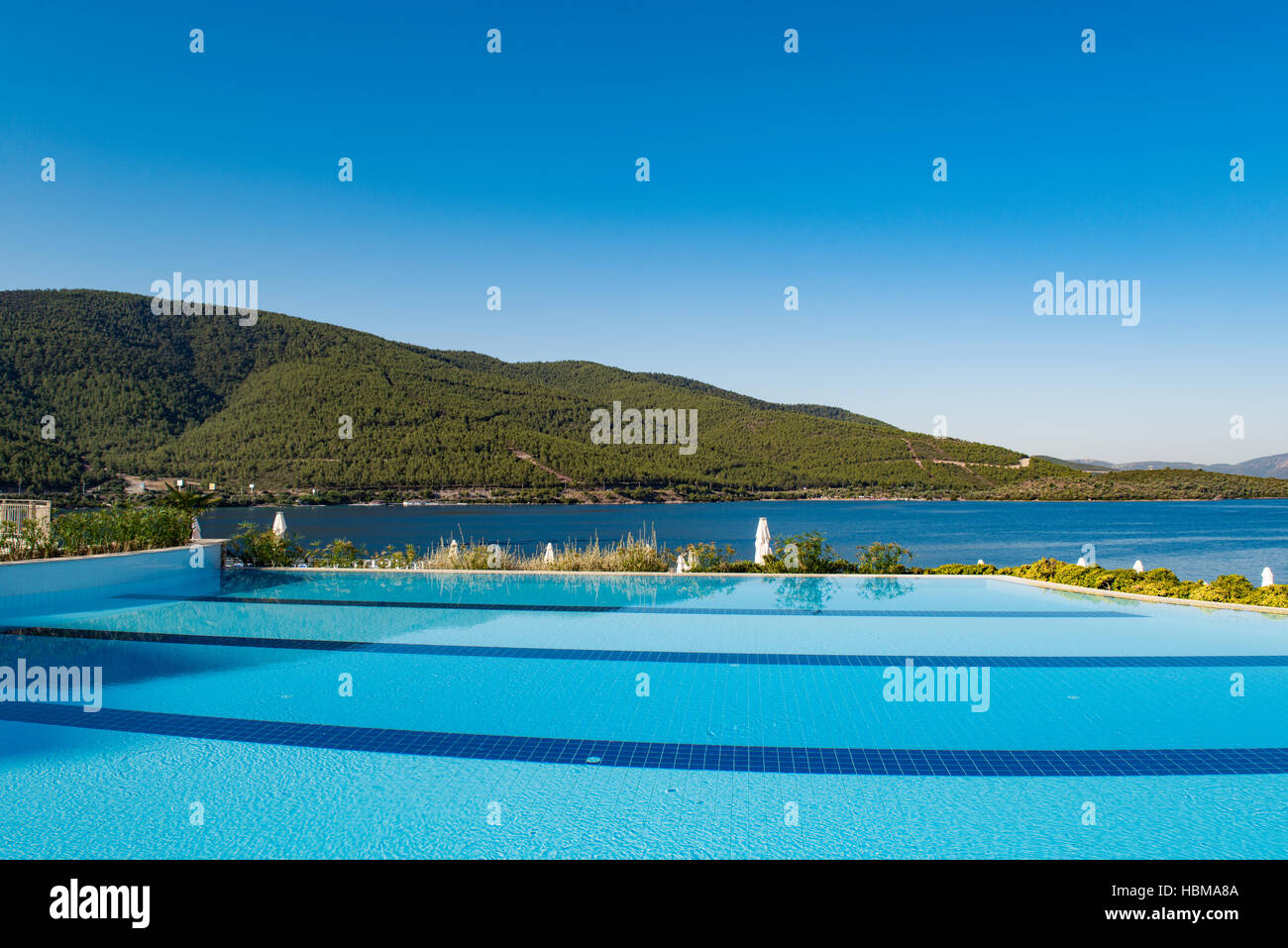 Swimming pool on bright summer day Stock Photo - Alamy