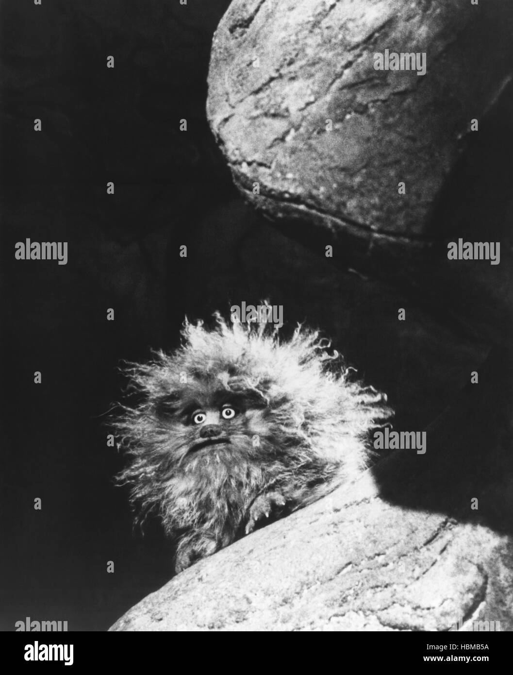 THE DARK CRYSTAL, Fizzgig, 1982, © Universal/courtesy Everett ...