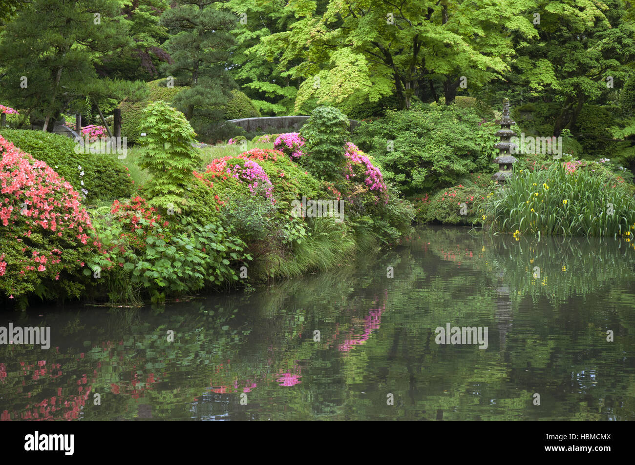 Summer zen park hi-res stock photography and images - Alamy