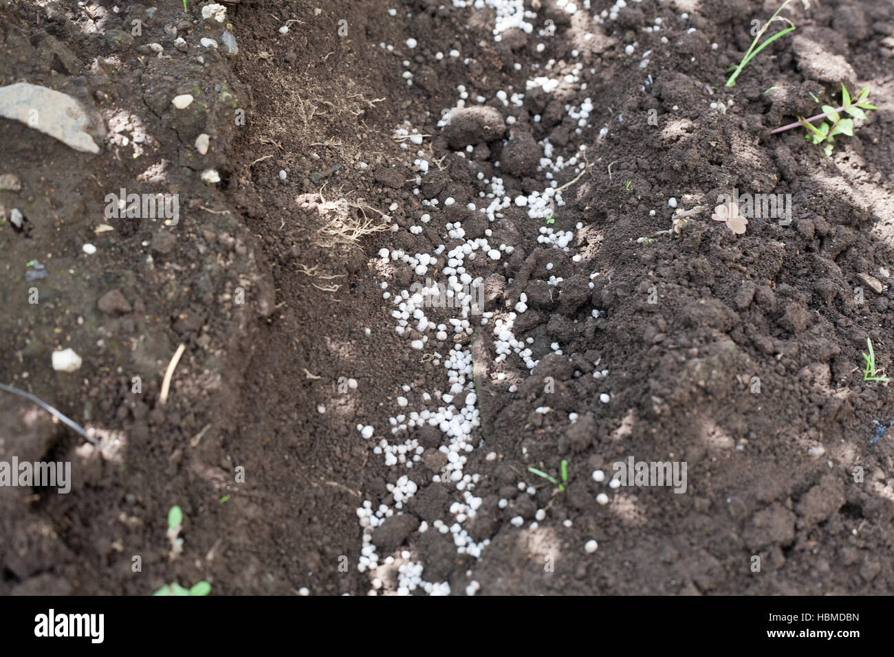 White granular chemical fertilizer on farm Stock Photo - Alamy