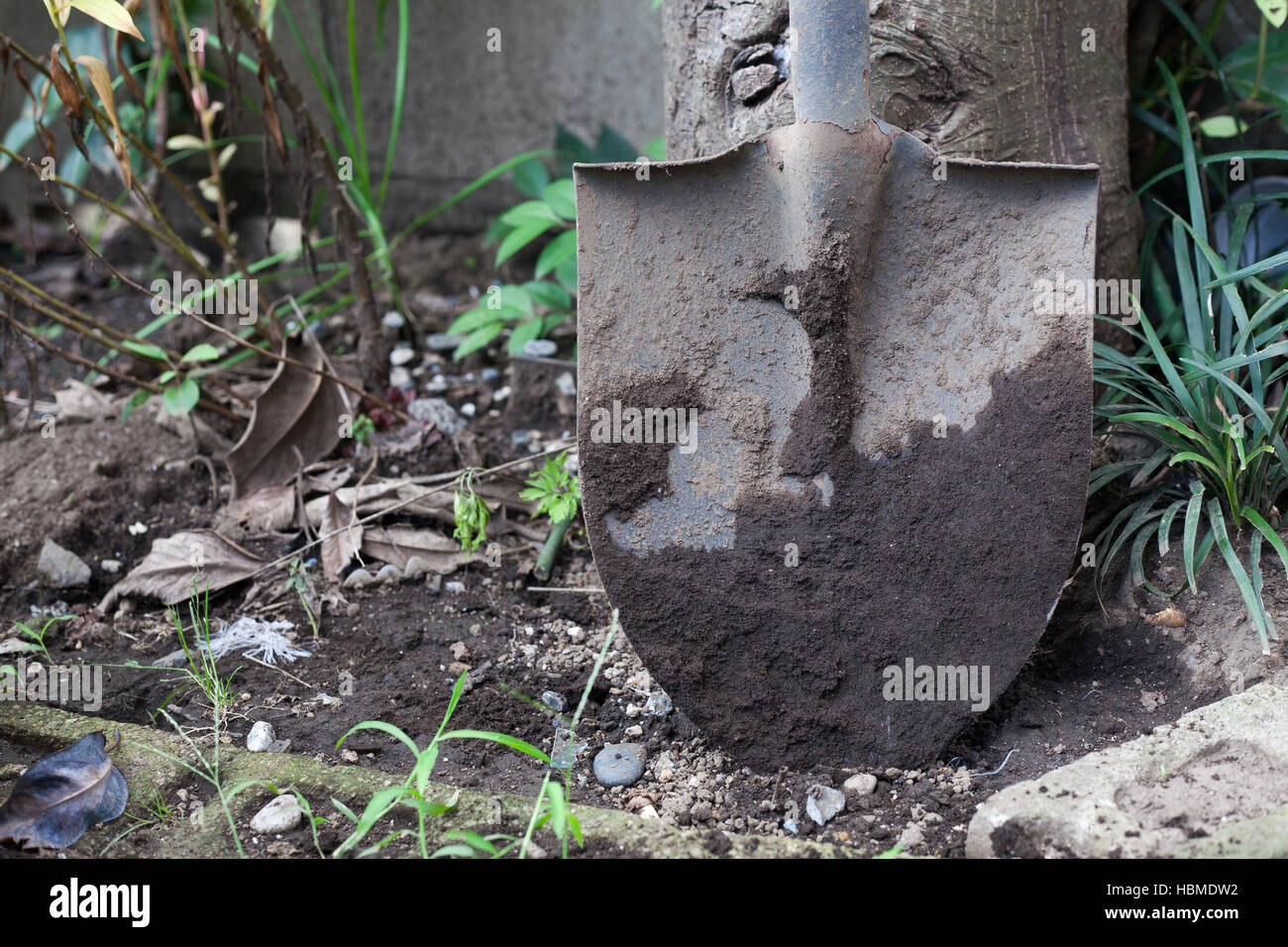 Covered with green mud hi-res stock photography and images - Alamy
