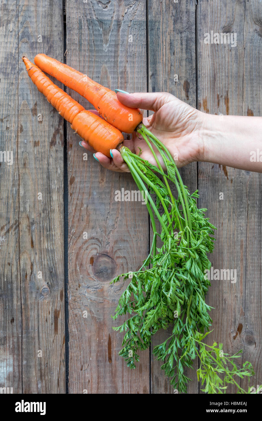 Bouquet Of Carrots High Resolution Stock Photography and Images - Alamy
