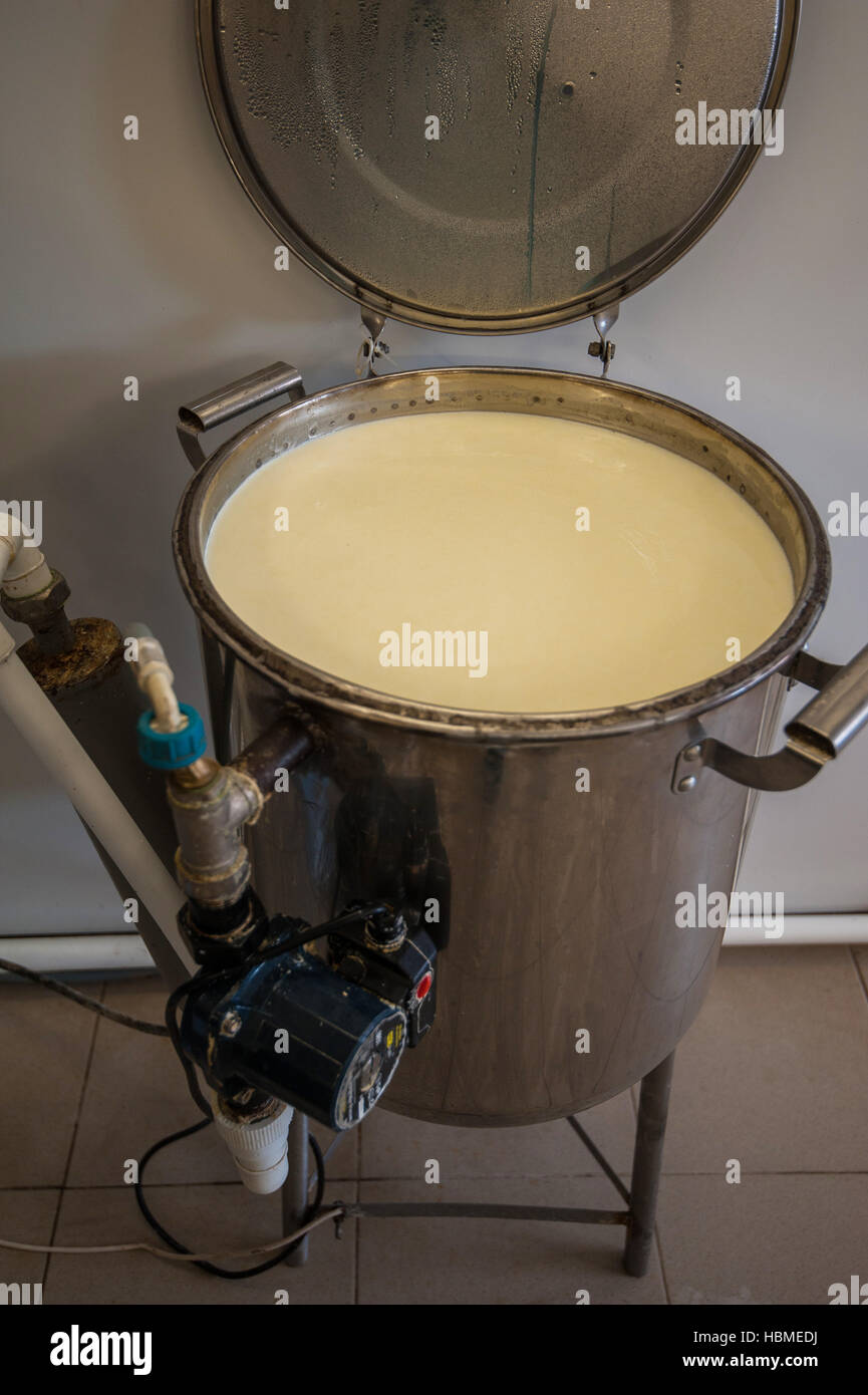 Cheese production at dairy farm Stock Photo - Alamy