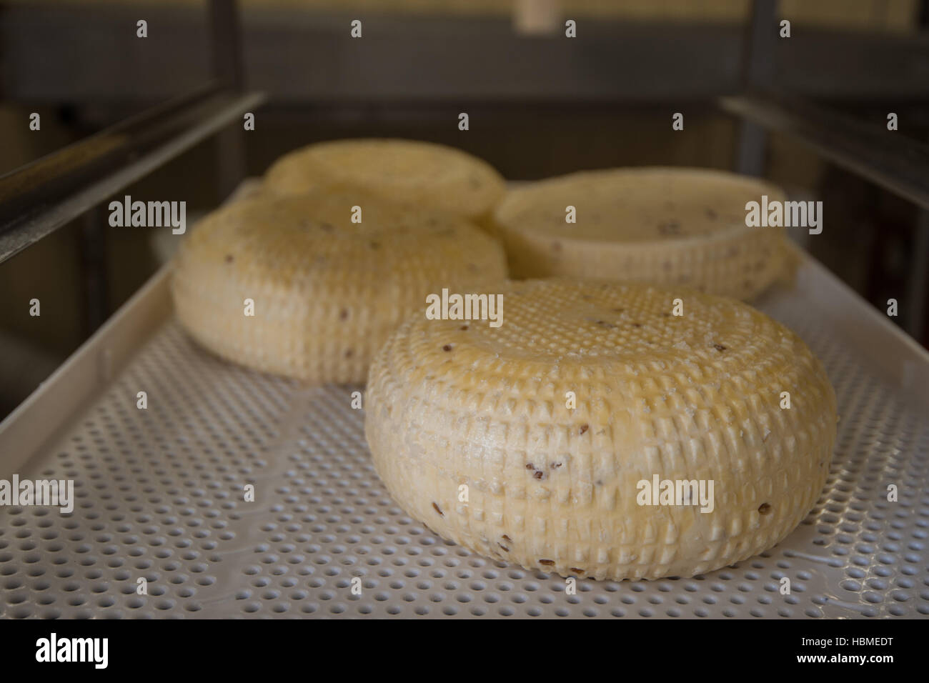 aging cheese heads Stock Photo - Alamy