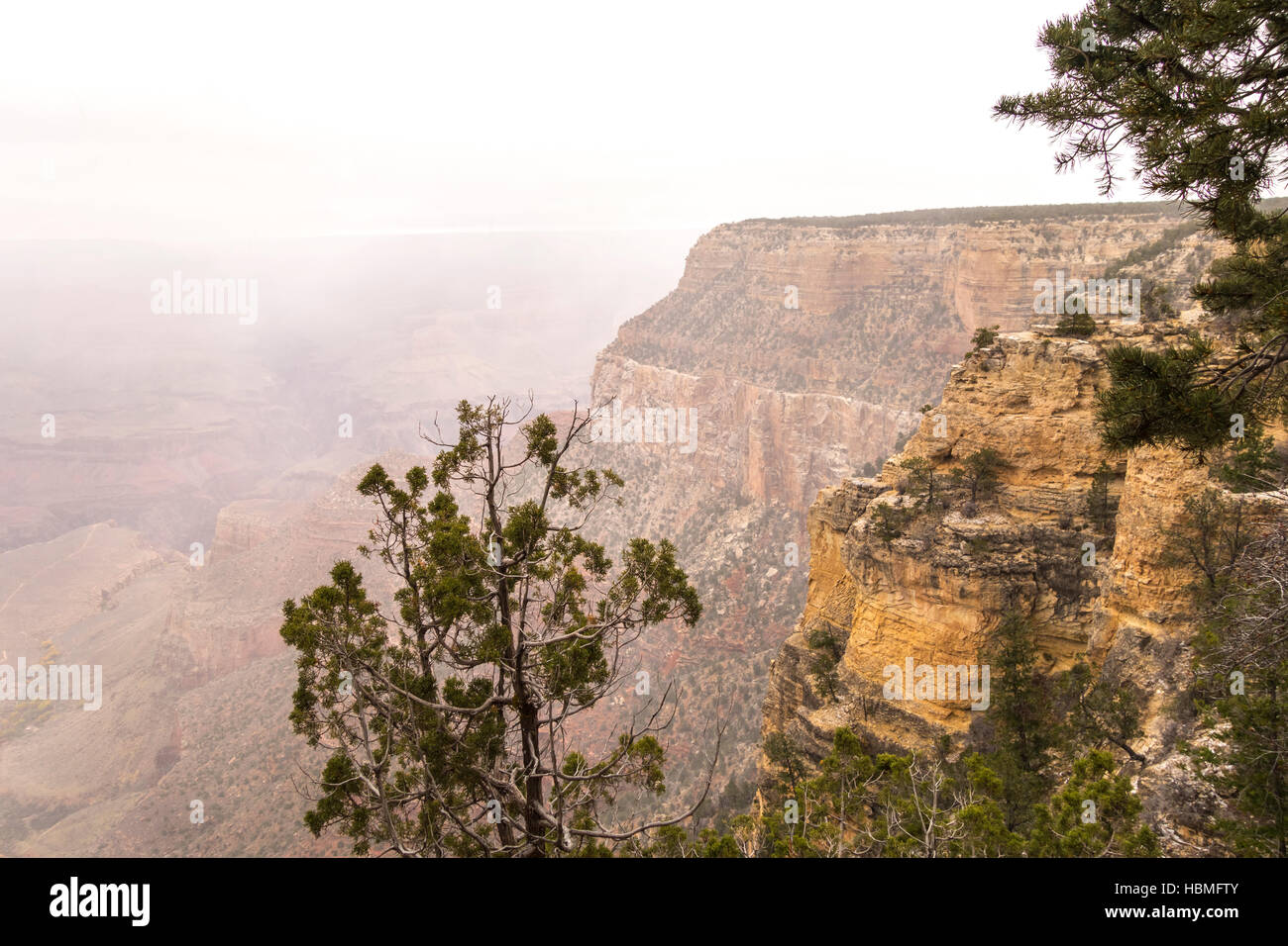 Grand Canyon National Park in Arizona, USA Stock Photo - Alamy