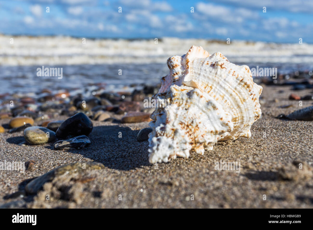 baltic beach germany Stock Photo - Alamy
