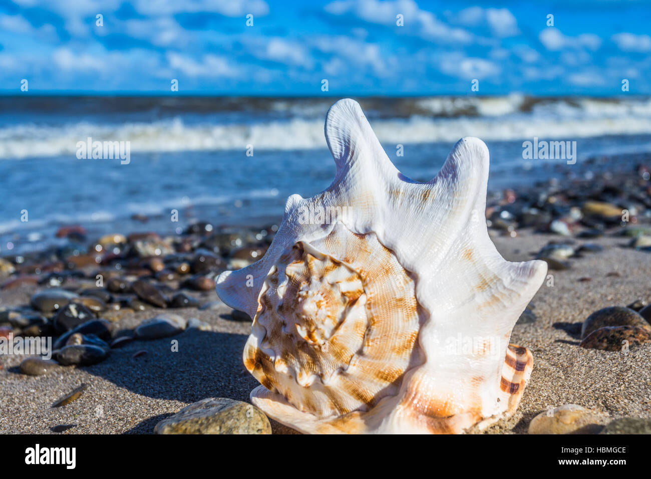 baltic beach germany Stock Photo - Alamy