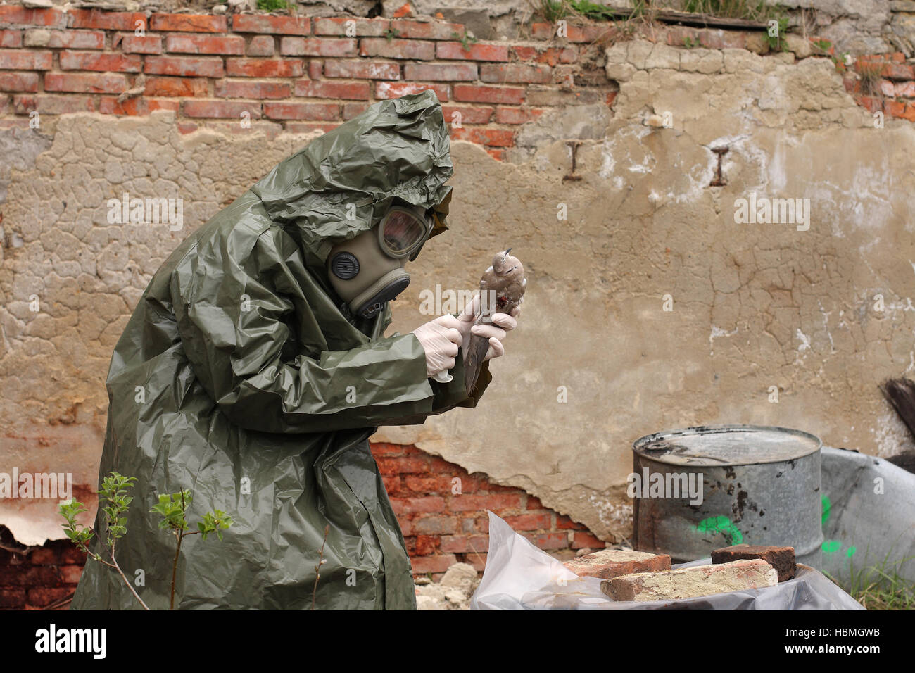 Man with gas mask and green military clothes explores dead bird after ...