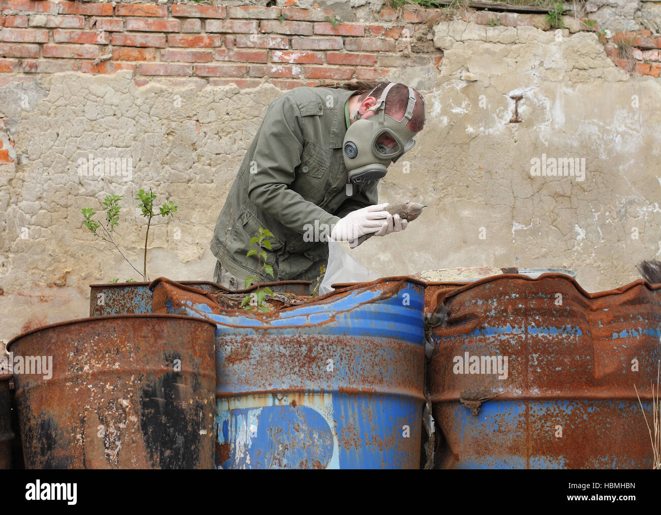 Man with gas mask and green military clothes explores dead bird after ...