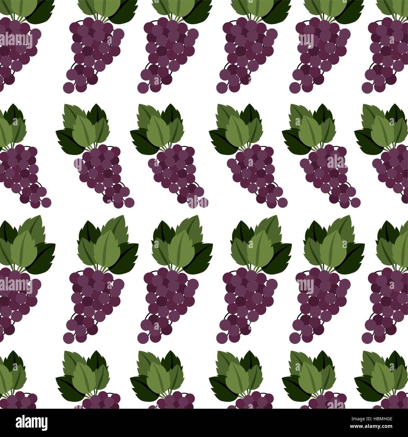 colorful pattern of bunch grapes with stem and leafs vector ...