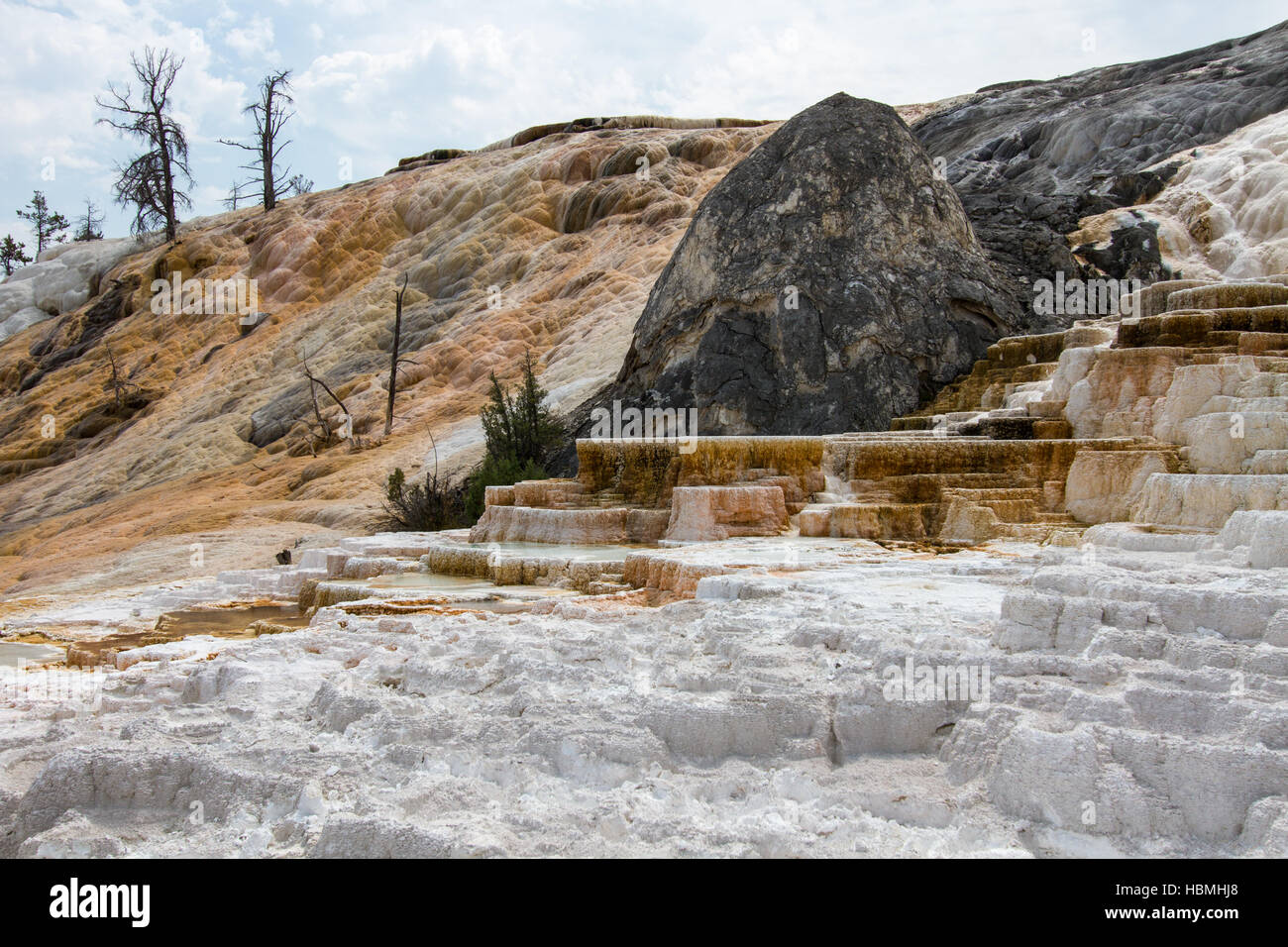 The devils 8 hi-res stock photography and images - Alamy