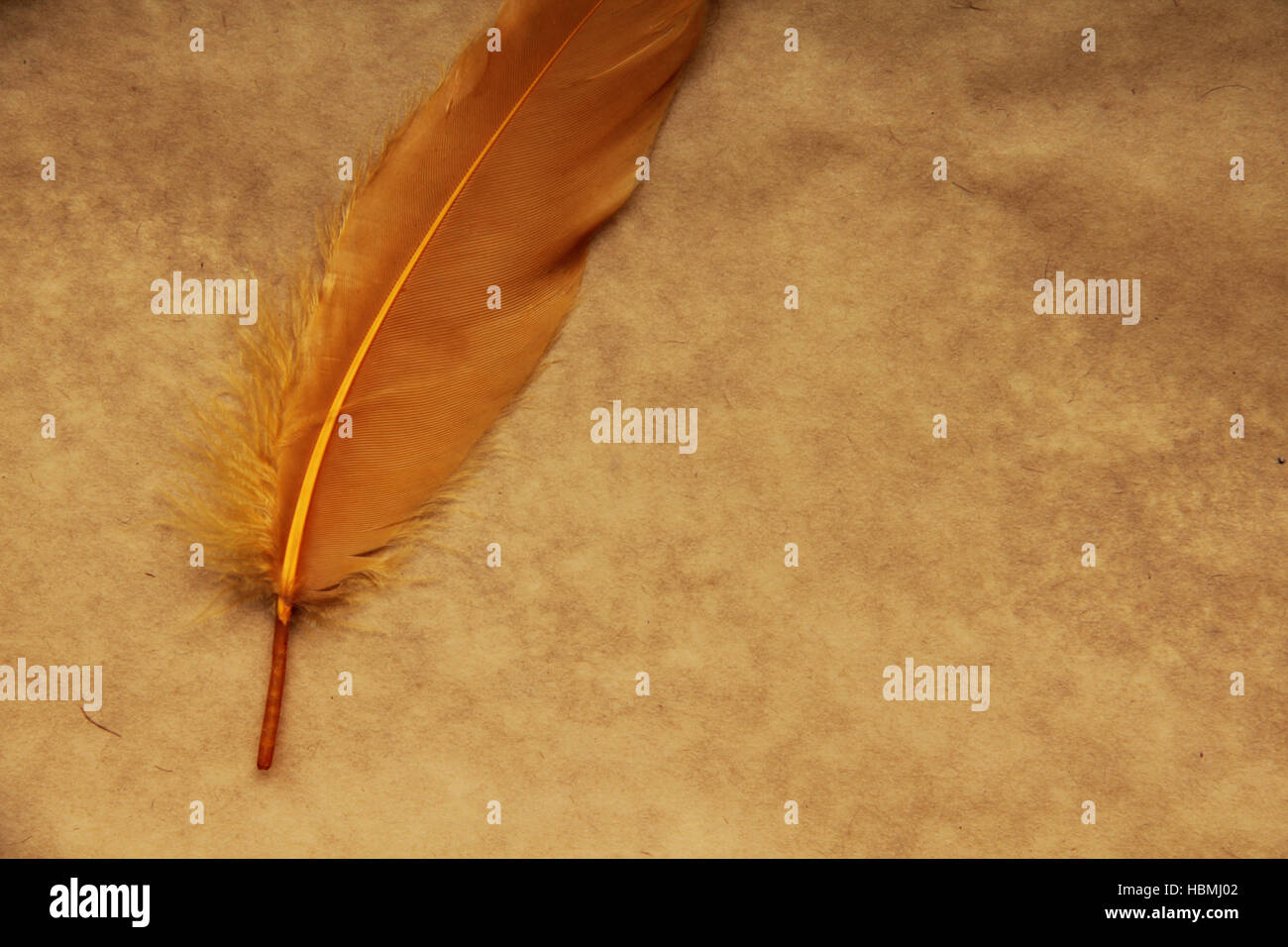 Empty letter feather inkwell hi-res stock photography and images - Alamy