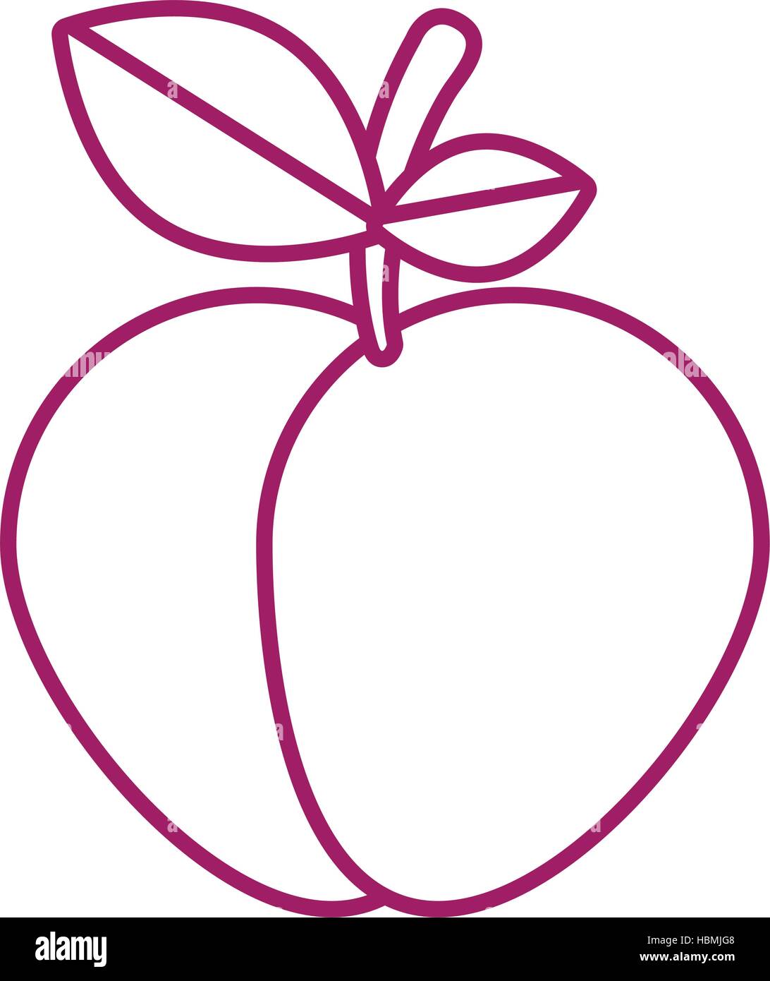 contour purple line with apple vector illustration Stock Vector Image ...