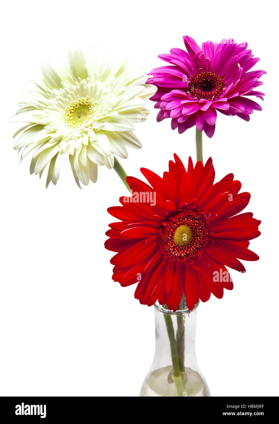 Bright flowers hi-res stock photography and images - Alamy