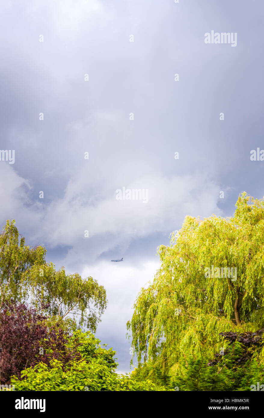 Green trees white puffy hi-res stock photography and images - Alamy